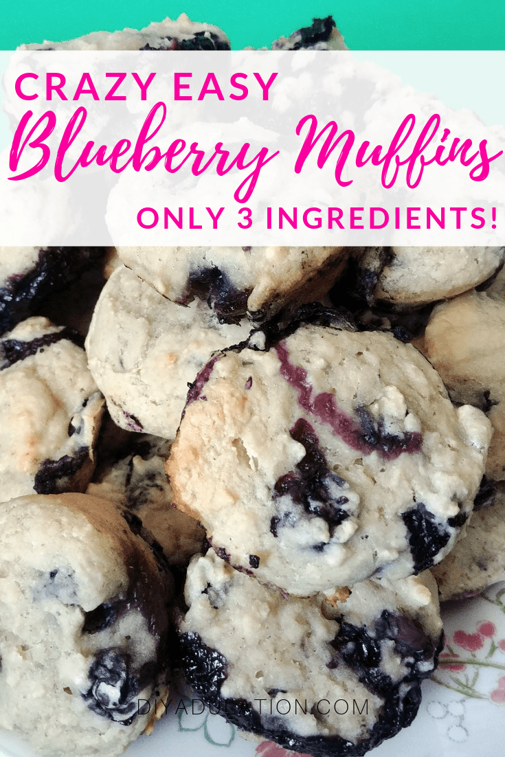 Crazy Easy Blueberry Muffins - Only 3 Ingredients - DIY Adulation