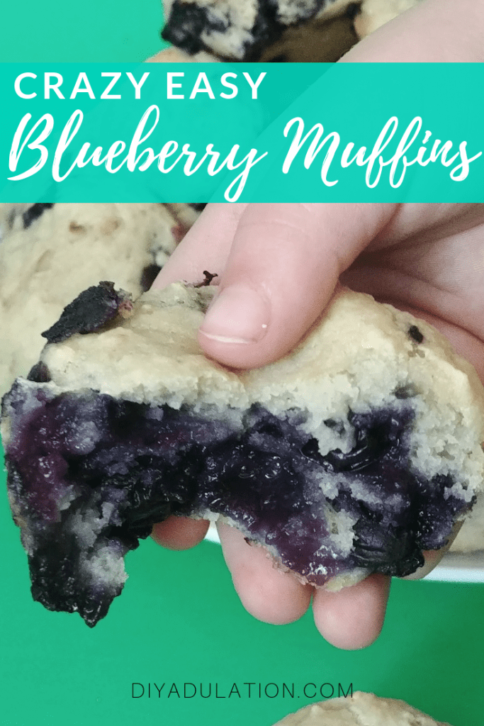 Crazy Easy Blueberry Muffins - Only 3 Ingredients - DIY Adulation