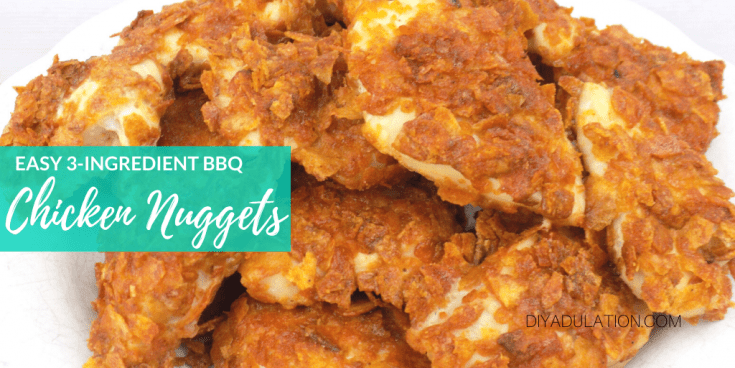 Easy 3-Ingredient Barbecue Chicken Nuggets - DIY Adulation